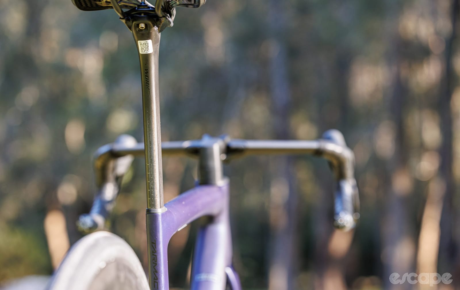Specialized Tarmac SL8: a hands-on build and reveal
