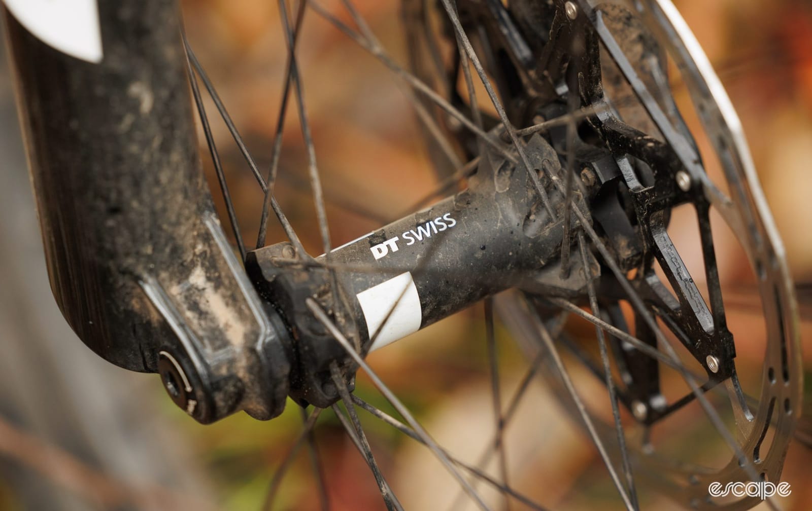 Staff Joy Rides: Dave Rome’s Factor Lando HT