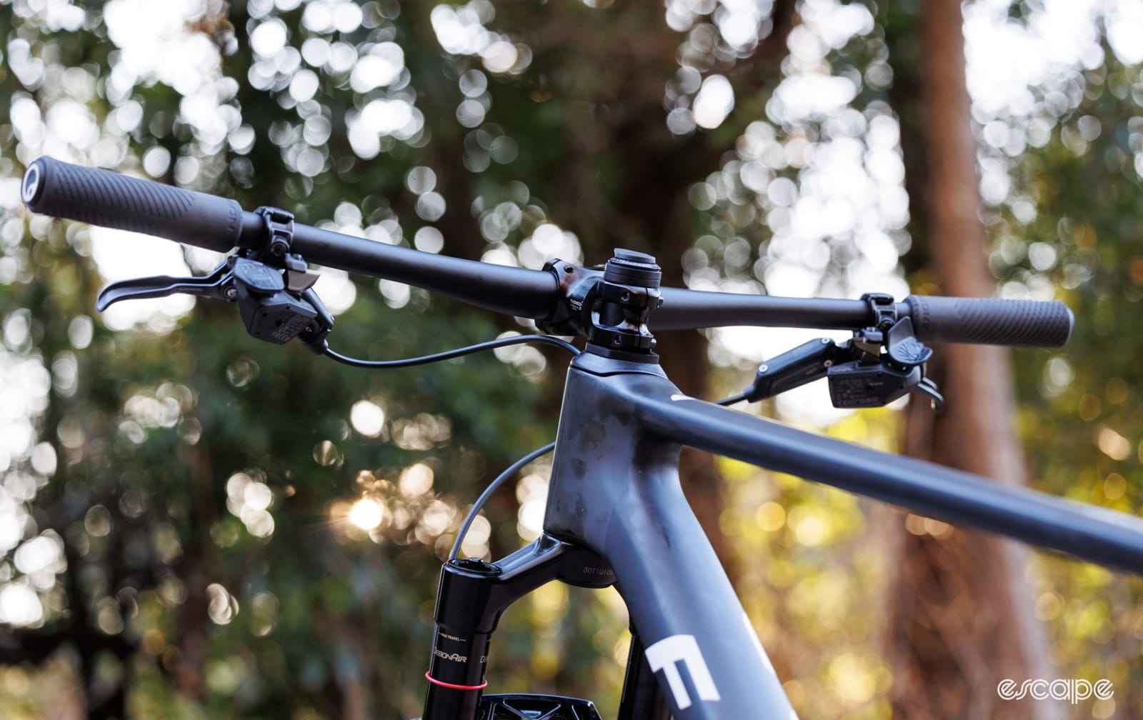 Staff Joy Rides: Dave Rome’s Factor Lando HT