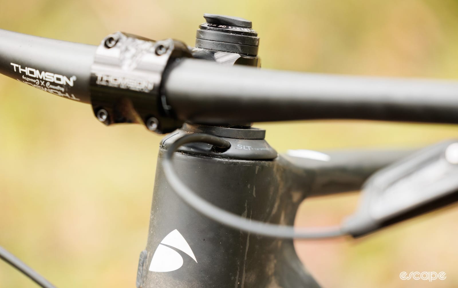 Staff Joy Rides: Dave Rome’s Factor Lando HT