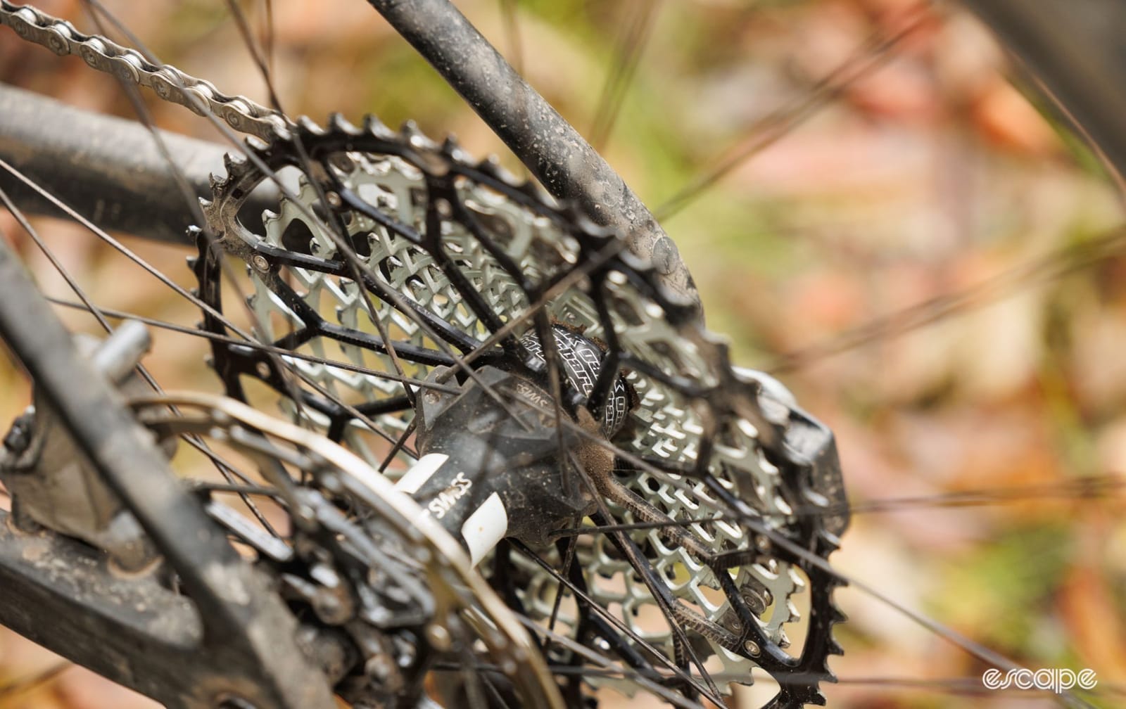Staff Joy Rides: Dave Rome’s Factor Lando HT