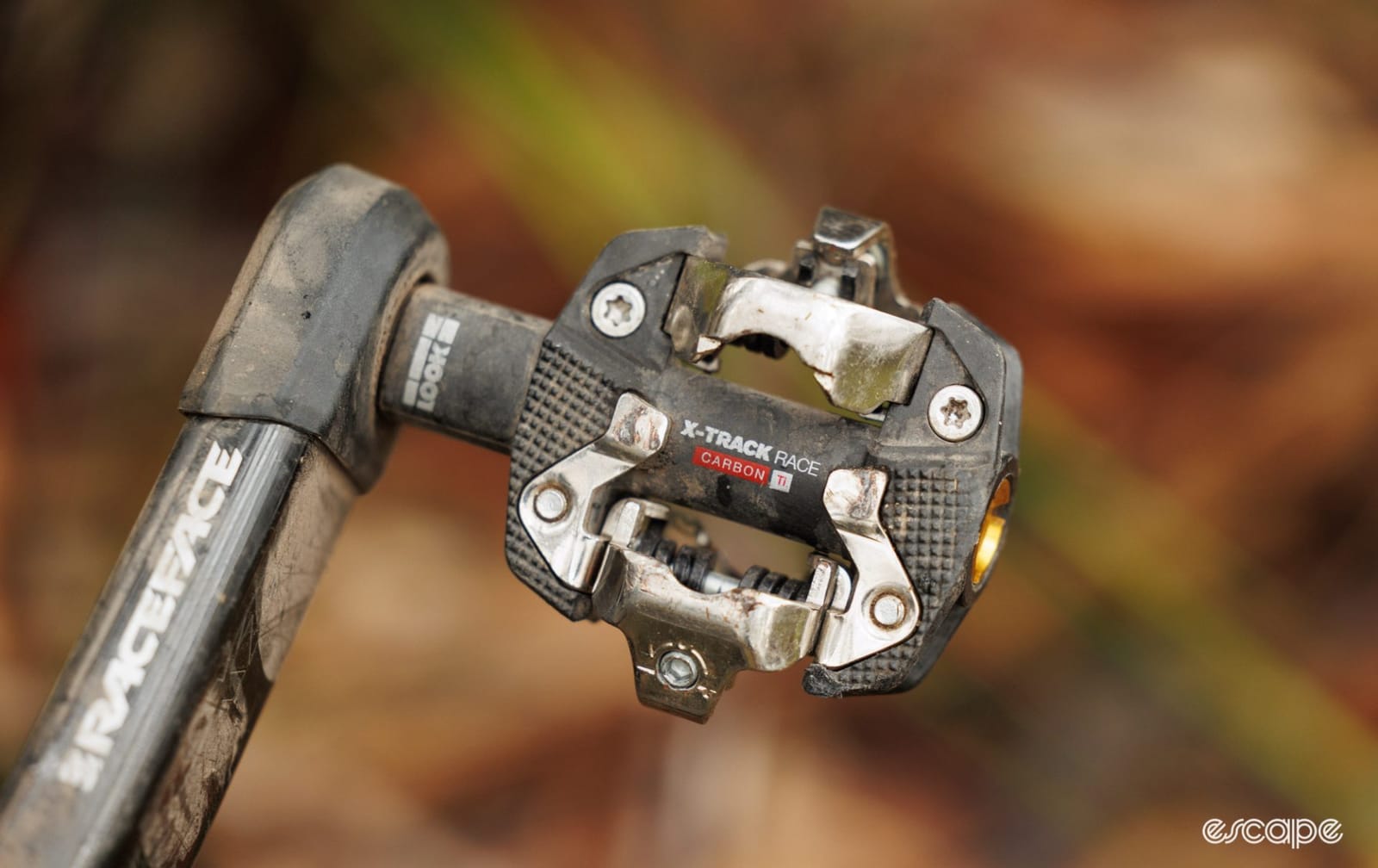 Staff Joy Rides: Dave Rome’s Factor Lando HT