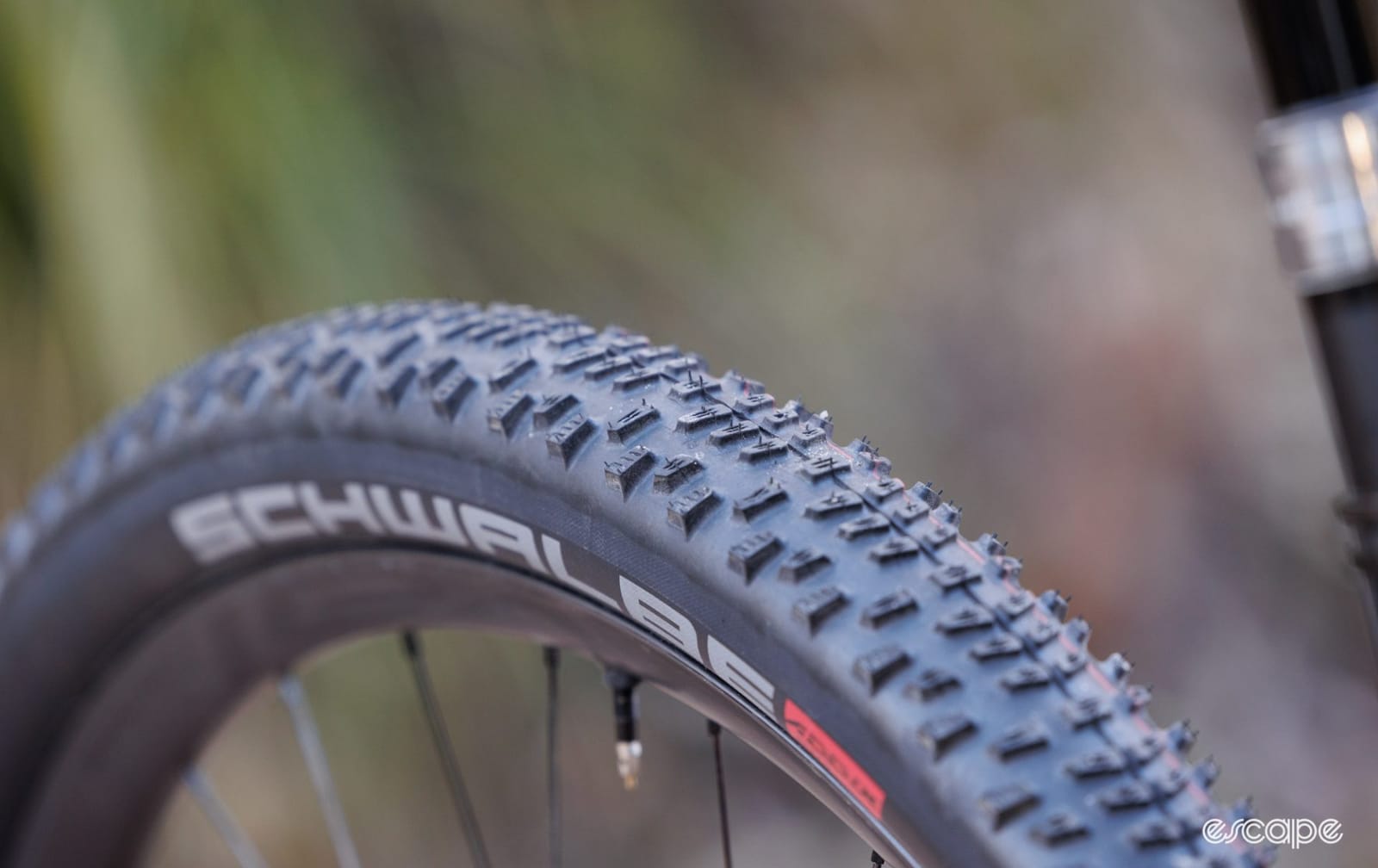 Staff Joy Rides: Dave Rome’s Factor Lando HT