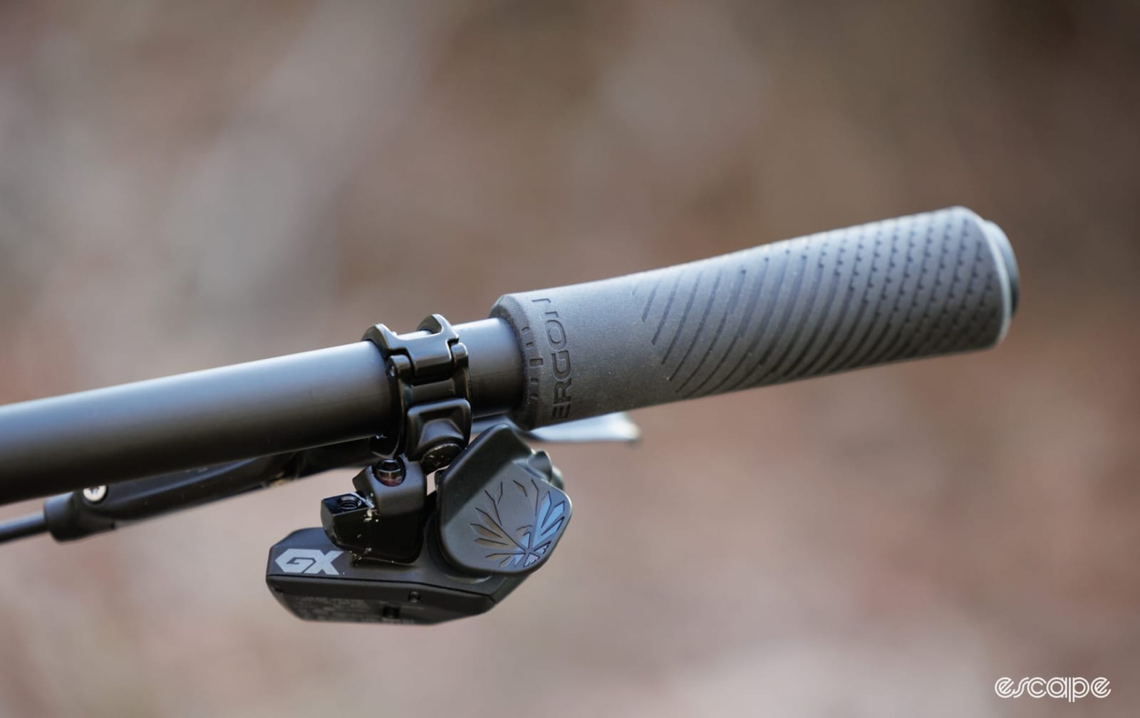 Staff Joy Rides: Dave Rome’s Factor Lando HT