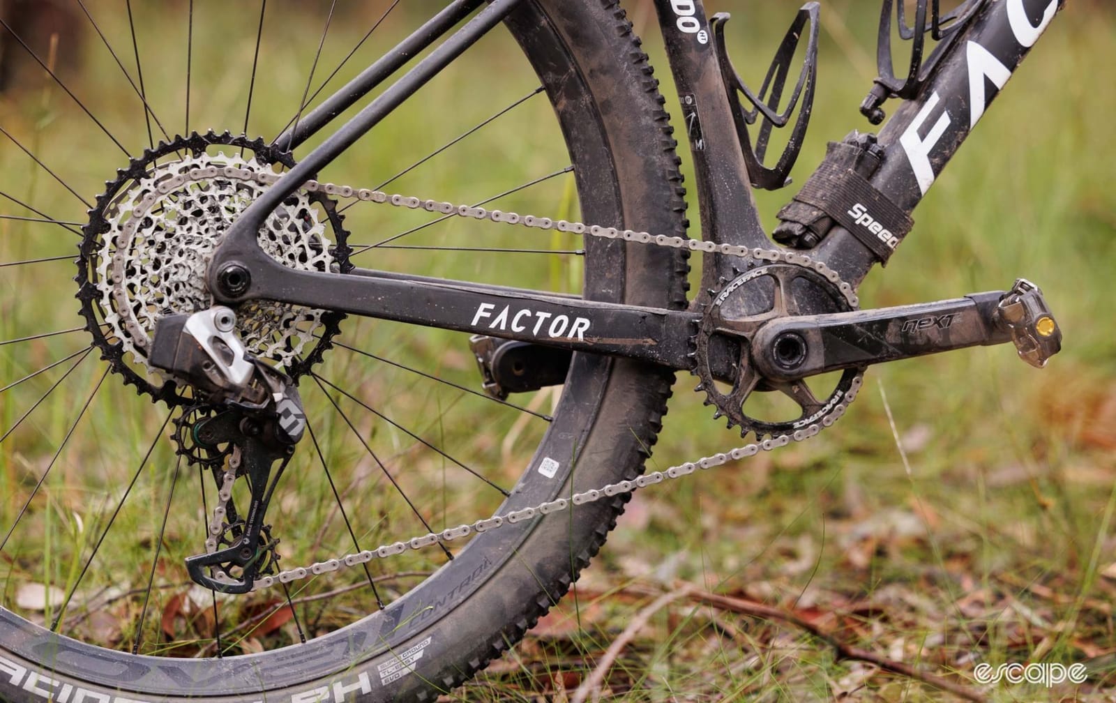 Staff Joy Rides: Dave Rome’s Factor Lando HT