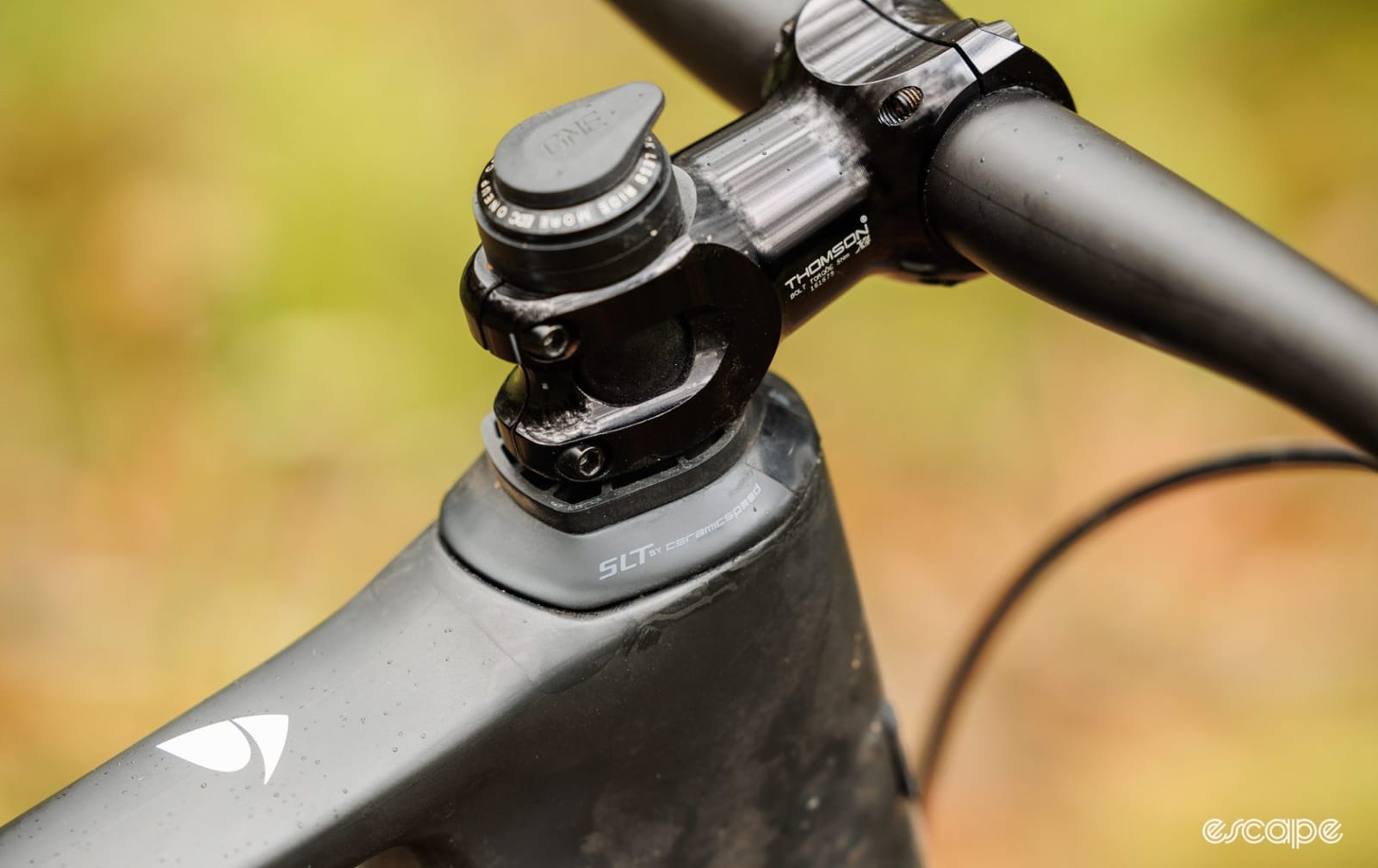 Staff Joy Rides: Dave Rome’s Factor Lando HT