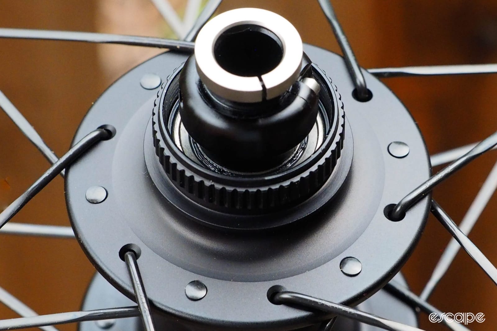 Chris King ARD44 wheelset review: Numbers aren't everything