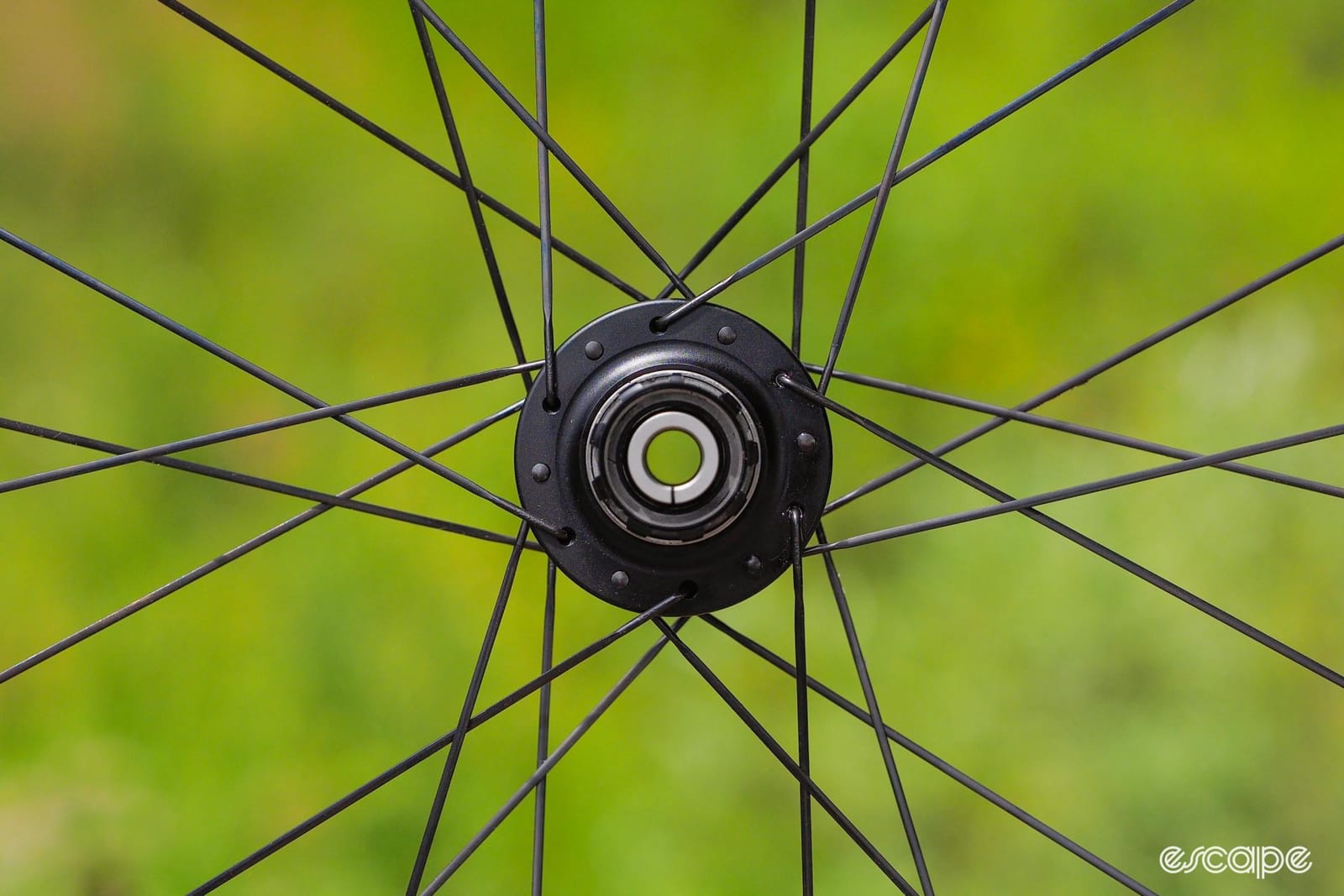 Chris King ARD44 wheelset review: Numbers aren't everything