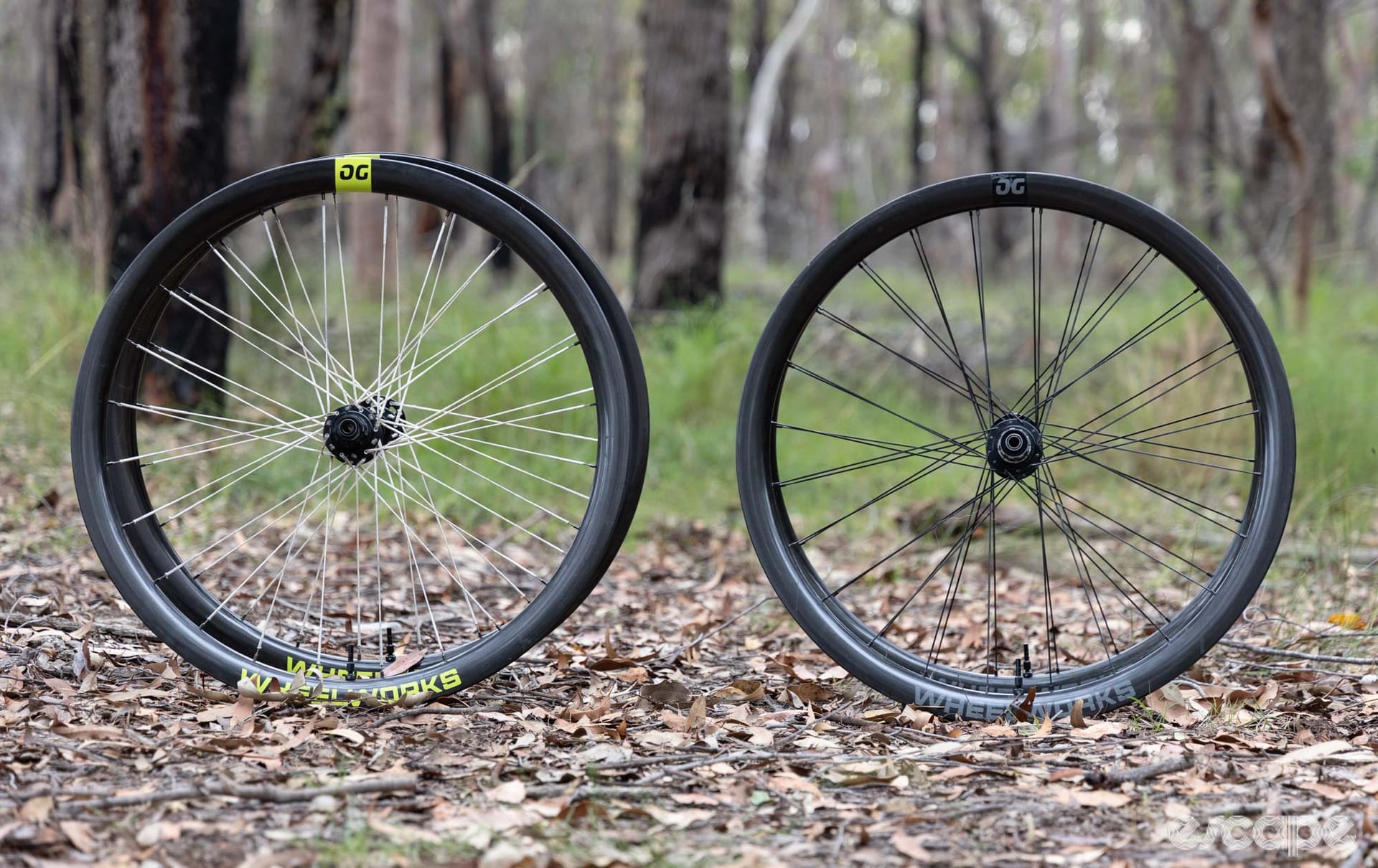 Diving deep: Reviewing Berd polymer vs steel-bladed spokes